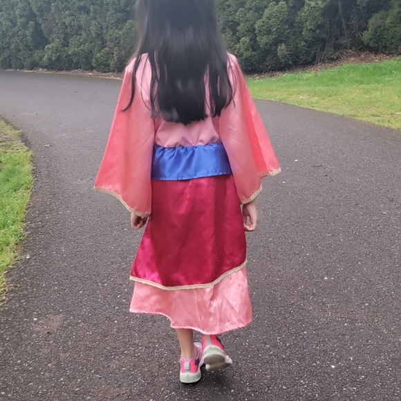 Costumes | Disney Princess Mulan Costume Dress | Poshmark
